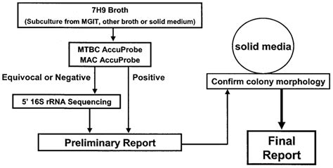 Algorithm For Identification Of Mycobacterium Species From 7h9 Broth Download Scientific