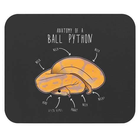 Python Lover Anatomy Of A Banana Ball Python Mouse Pads Sold By Peechermewish Sku 69416100