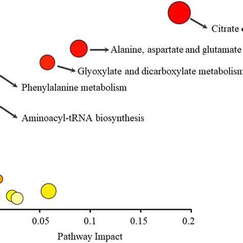 Metabolic Pathway Analysis Using Metaboanalyst 4 0 Download Scientific Diagram