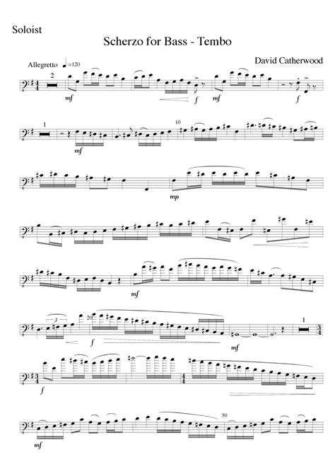 Double Bass And String Orchestra At Carl Buteau Blog