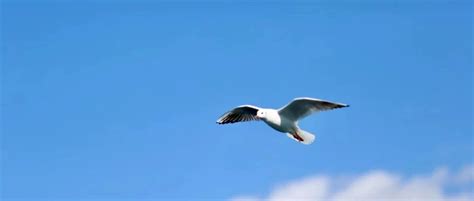 再见,vlookup!2023财务全行业excel实操大全,付费搞来的,一会儿删戏说合并 商业新知 再见,vlookup!2023财务全行业excel实操大全,付费搞来的,一会儿删戏说合并 商业新知