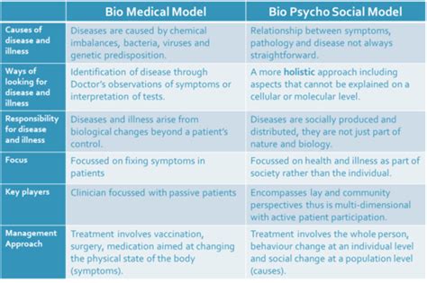 HCS 1 01 Flashcards Quizlet
