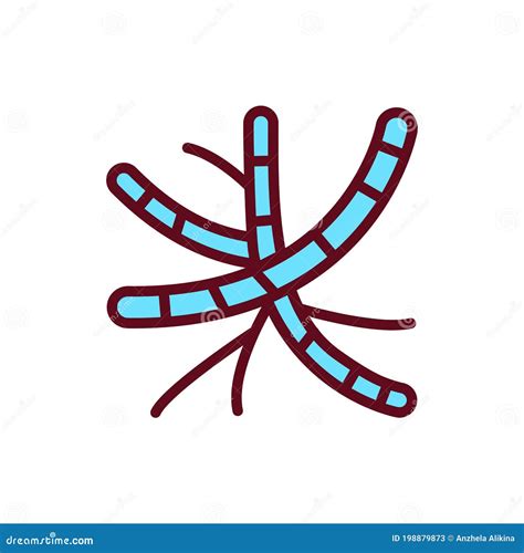 Filamentous Bacteria Classification Irregular Shapes Of Bacteria Morphology Microbiology