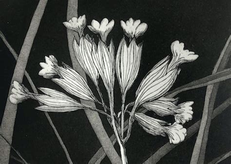 Cowslips Etching And Aquatint Alice Morgan