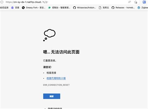 大佬，无法通过sakura的域名访问，但是我域名解析可以访问是咋回事 · Issue 18 · Natfrplauncher Windows · Github