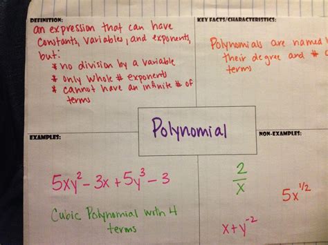 Degree Of A Polynomial Definition Jewelgroesparza