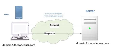 How To Enable Cors In Aspnet Core Thecodebuzz
