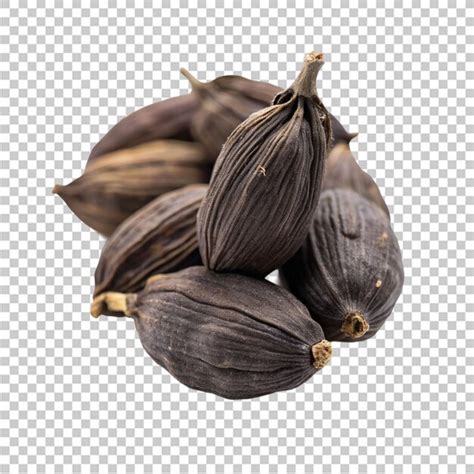 Premium Psd Cocoa Isolated On Alpha Layer