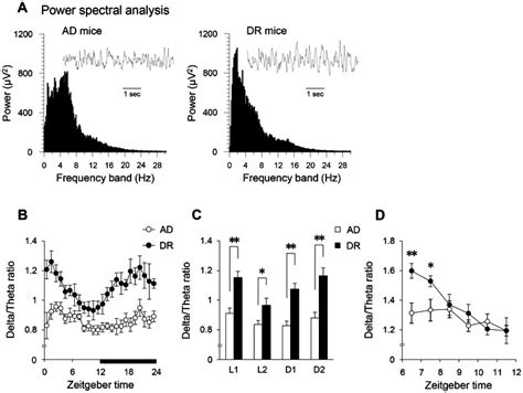 Power Spectral Analysis Of Eeg During Nrem Sleep A Hourly Time Download Scientific Diagram