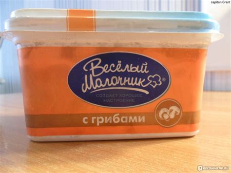 Сыр Веселый молочник плавленый пастообразный с грибами - «Мой кот ...