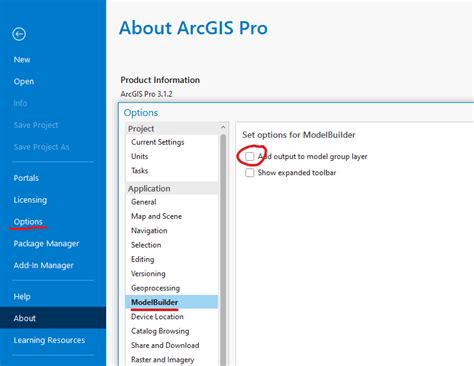 Solved Makerasterlayer Strange Layer Names Using Modelb Esri