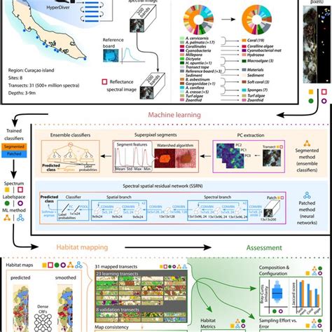 Schematic Of Scalable Acquisition‐mapping‐assessment Workflow For Download Scientific Diagram