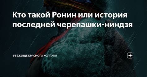 Кто такой Ронин или история последней черепашки-ниндзя | Убежище ...