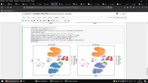 UMAP Plotting Can Not Properly Colour Np Nan Values In Categorical Obs