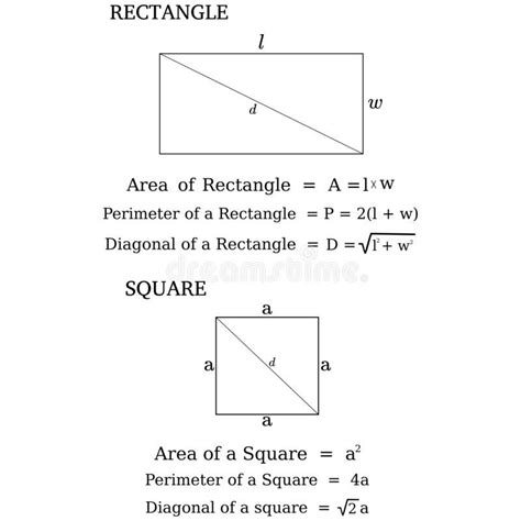 Width Of A Rectangle Tylerexsnyder
