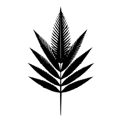 Premium Vector Spiky Leaf Black And White Vector Template Set For