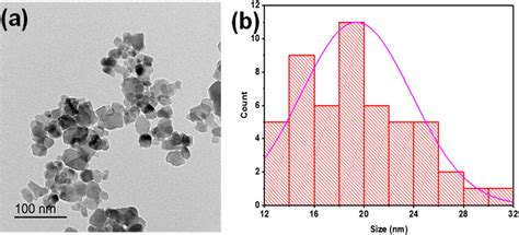 A Tem Image Of Sol Gel Produced Tio2 Nps And B Histogram