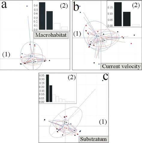 Biplot Of Gut Contents Obtained From A Fuzzy Principal Component