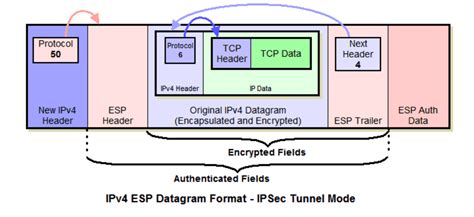 Question About The Mtu In Dmvpn Cisco Community
