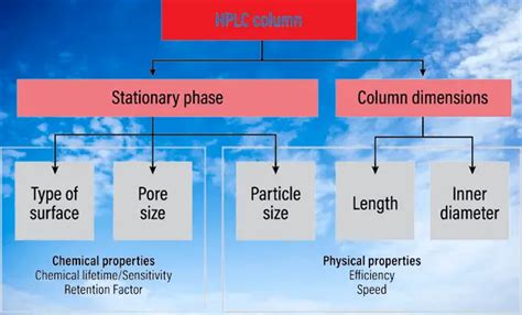 Hplc Column Flair Pharma The Knowledge Kit
