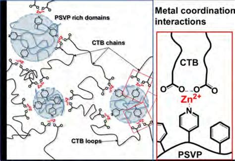 Visual Representation Of Phase Separated Metallo Supramolecular Polymer Download Scientific