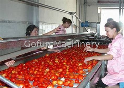 Sus304 Tomato Processing Line Tomato Paste Making Machine 3 5 Tons