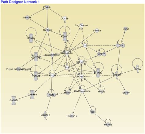 Proteinprotein Interaction Network Of Dnm Genes Identified From The Download Scientific