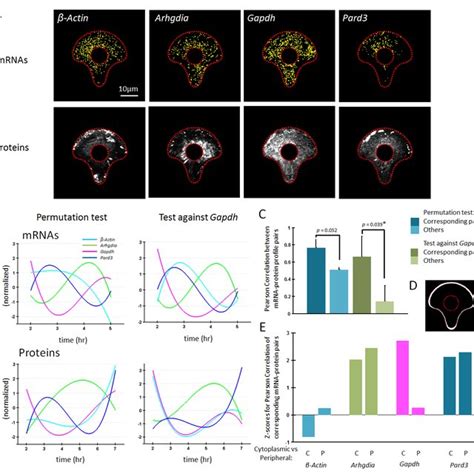 Detecting Spatial Patterning In Synthetic Data A Simulations Of