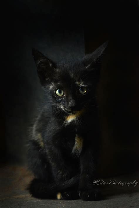 Siva Murugan On Linkedin Photography