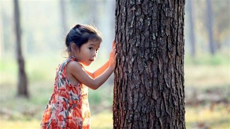 15 hide and seek variations twists on the classic game early impact learning