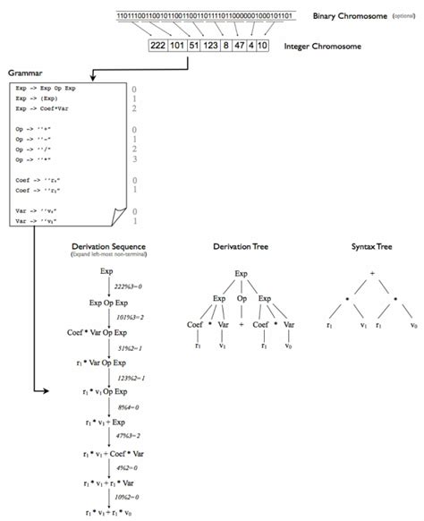 An Illustration Of The Grammatical Evolution Mapping From A Linear Download Scientific Diagram