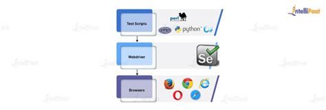 Selenium Python Install Selenium With Python