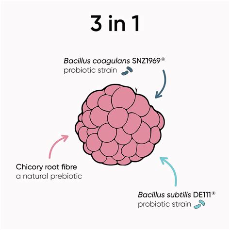 Bactiol® Probiotic Gummies Adults Metagenics Ireland
