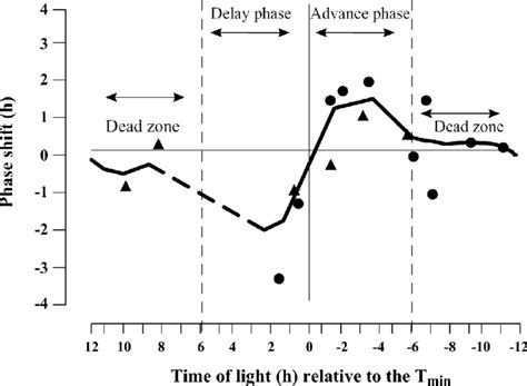 Phase Response Curve To Single Light Pulses Where Phase Advance Phase Download Scientific