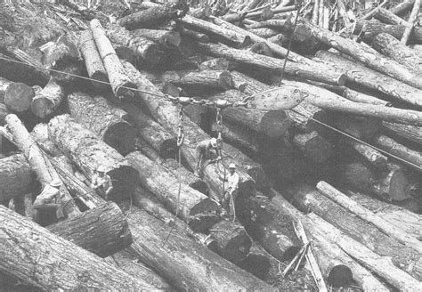 Old Logging Photos Circa Early 60 S Free For All The Patriot Woodworker