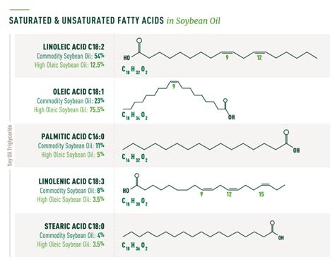 Soybean Oil Structure