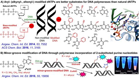 Synthesis Of Modified Nucleoside Triphosphates And Polymerase