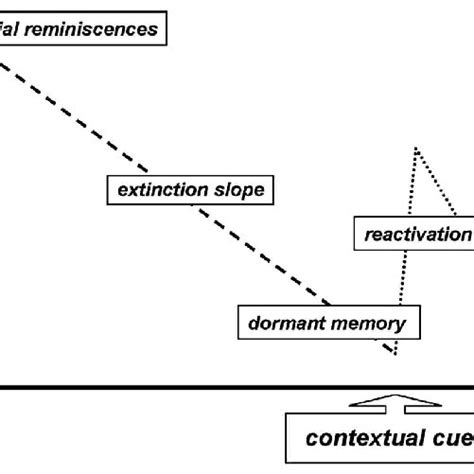 A Model Of The Temporal Evolution Of Emotional Memories Download Scientific Diagram