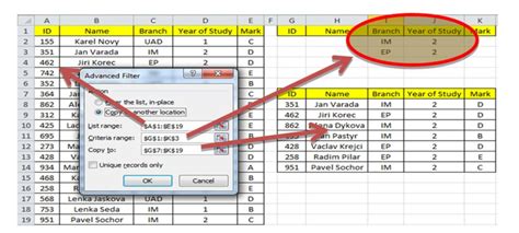 IBIMA Publishing Creation And Use Of Internal Matrix Database Functions