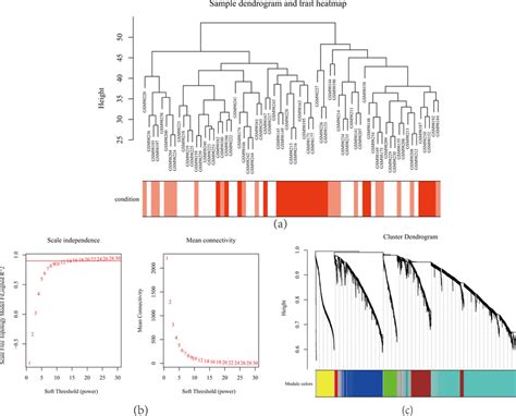 A Clustering Dendrogram Of 69 Samples B Determination Of Download