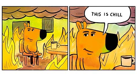 Просто чилловый парень что это за мем с собакой откуда взялся фото и видео Hi Tech Mail