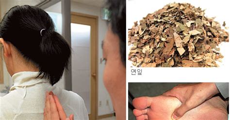 불면증 한방 약차·척추 안마로 극복 하세요