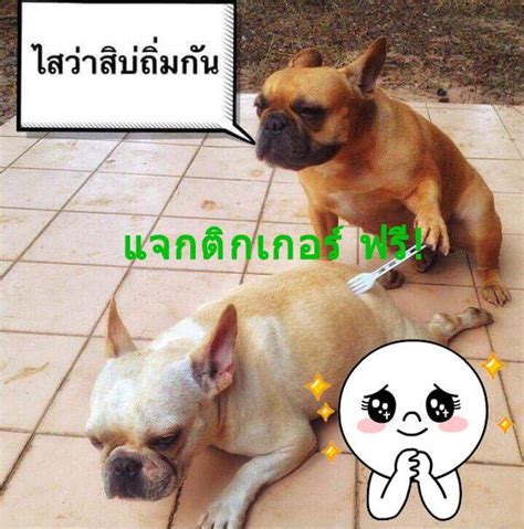 แจกฟรี And ขายสติ๊กเกอร์ไลน์ราคาถูก Sticker Theme รับรองไม่ผิดหวังครับ มาแจกติกเกอร์คร้าบบบ กด