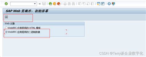 Sapabap编程基础二进制文件smw0中上传与下载