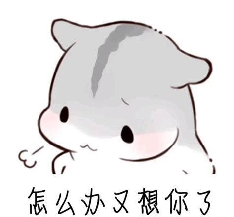 一波可爱小鼠表情包萌翻你的表情赶紧秀出来吧