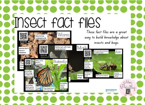 Insect Qr Code Fact Files Mrs Priestley Ict