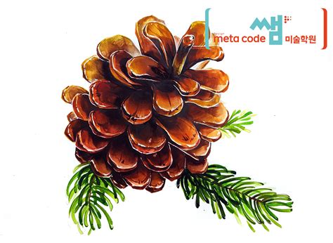 입시미술 기초디자인 개체묘사 솔방울그리기 자연물그리기 강남메타코드 솔방울 꽃 나무 그림