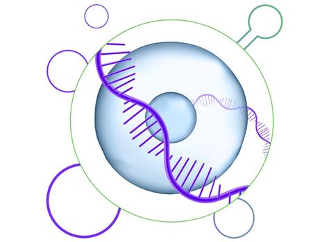 single cell rna sequencing kit