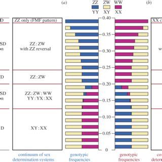 Evolutionary Continua Of Sex Determining Systems For Populations With Download Scientific