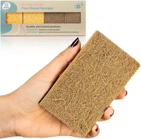 Kitchen Sponge Brands